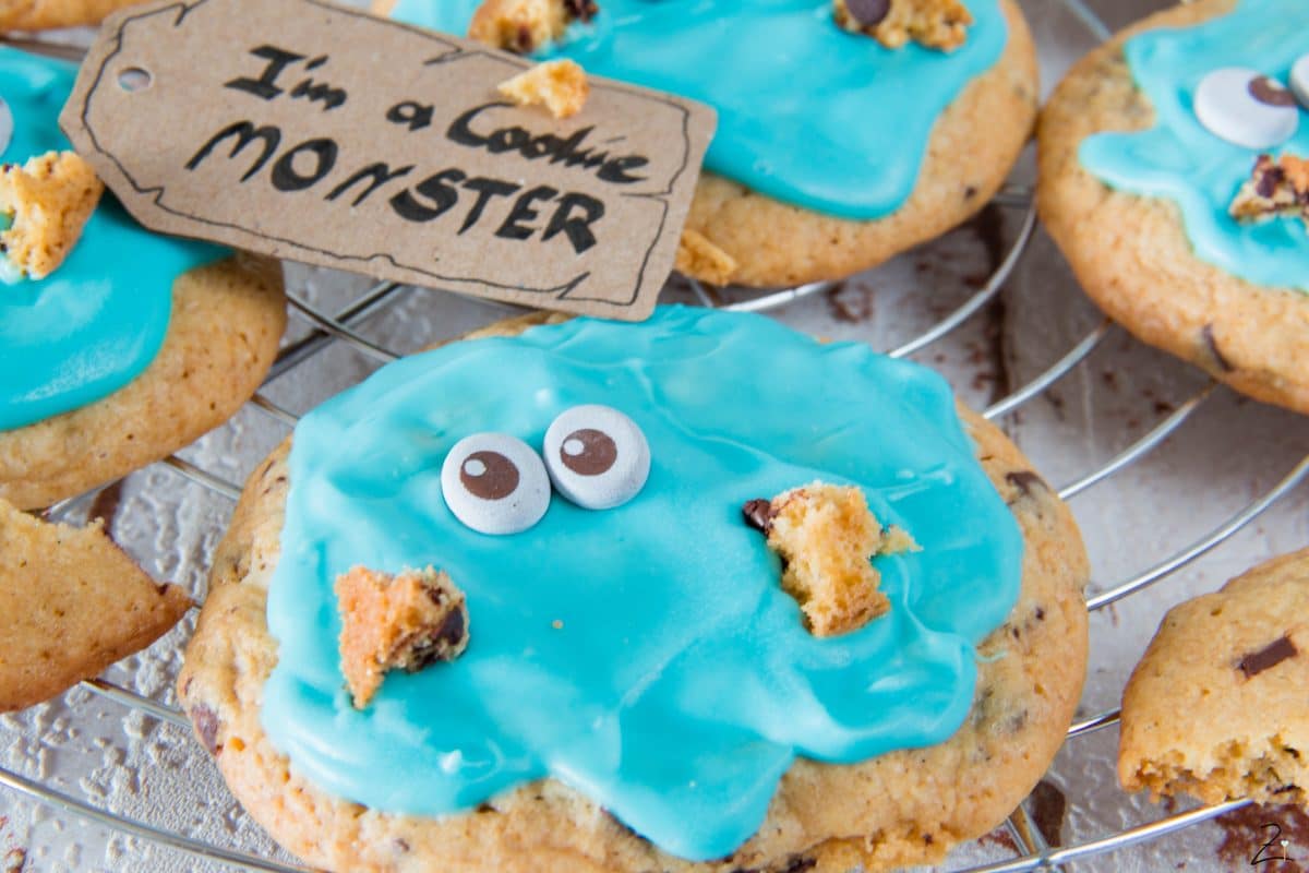 Chocolate Chip Cookie Monster | Zimtblume.de